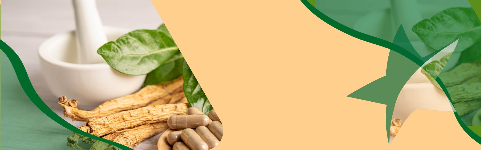 Branded Ingredients | Star Hi Herbs